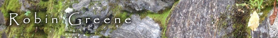 Books | Robin Greene